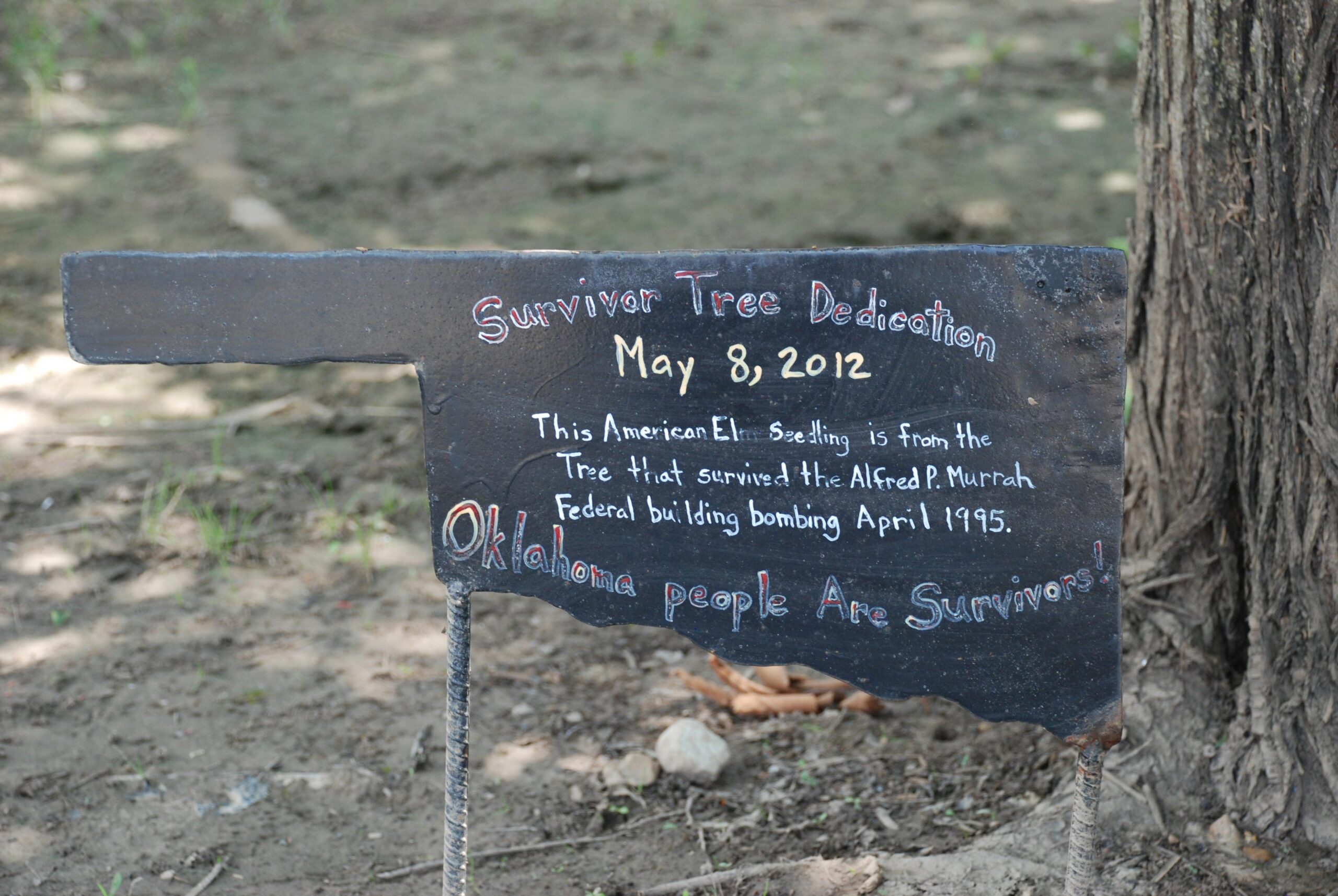 The Survivor Tree - Vian Tenkiller